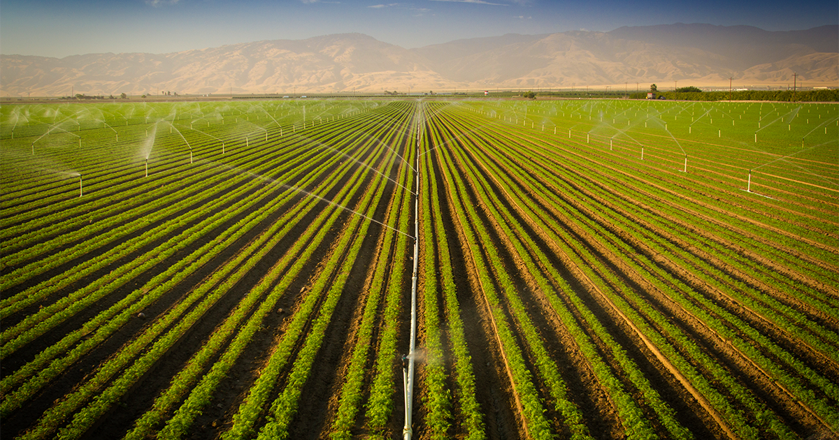 The Future of Australia's Horticulture Industry