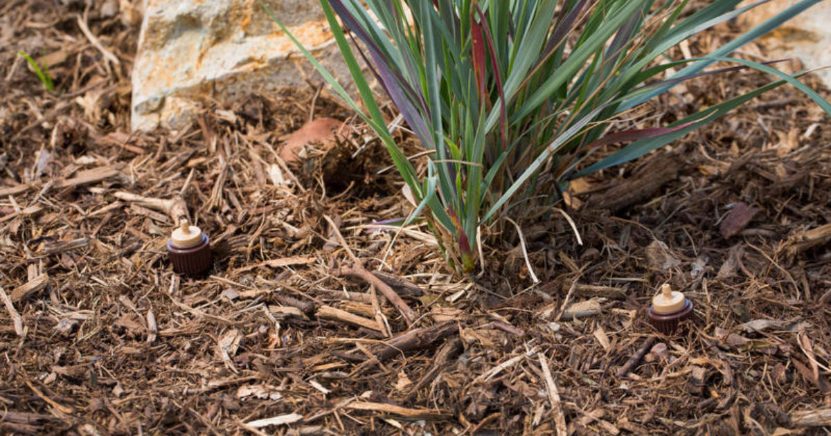 IH Risers | Nelson Irrigation Australia