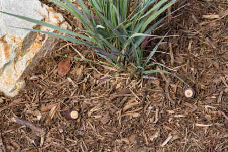 IH Risers | Nelson Irrigation Australia