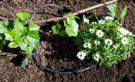 Point Source Drip Emitters | Nelson Irrigation Australia