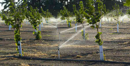 R10T Rotator® | Nelson Irrigation Australia