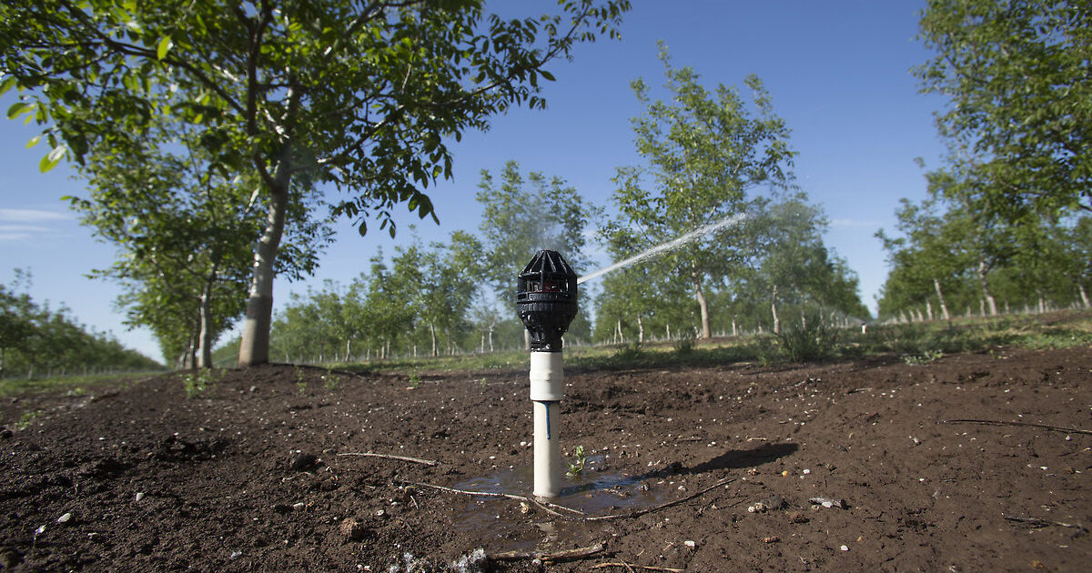 R2000 Rotator® | Nelson Irrigation Australia