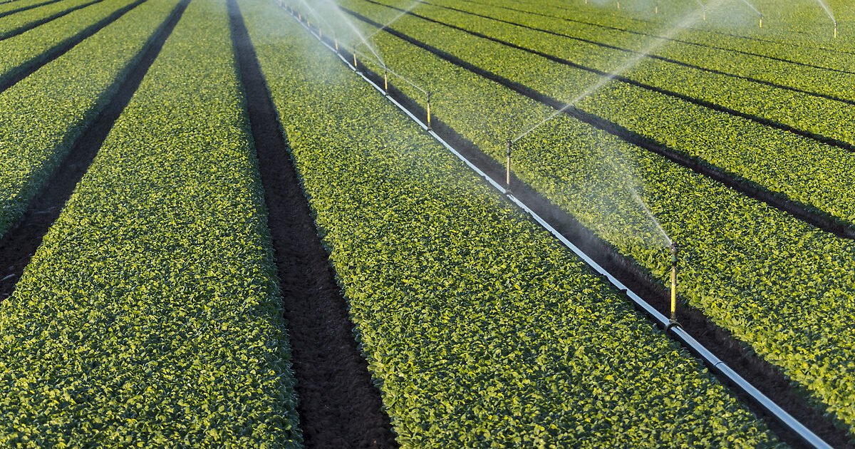 R2000WF Rotator® | Nelson Irrigation Australia