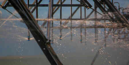 Rotator® | Nelson Irrigation Australia