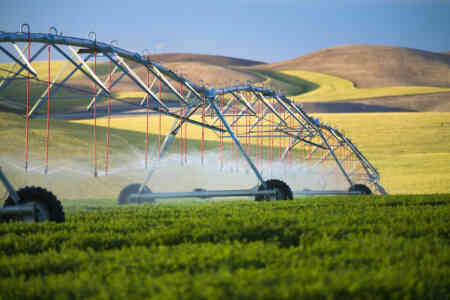 Rotator® | Nelson Irrigation Australia