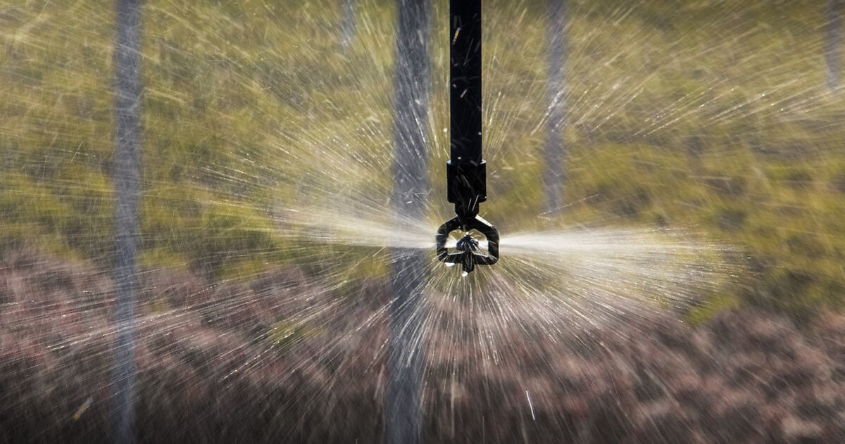 Spinners & Sprays | Nursery Application