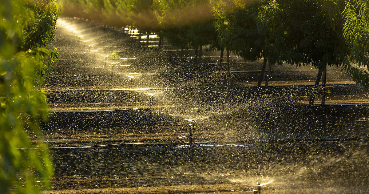 S7 Spinner | Nelson Irrigation Australia