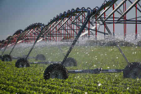 Sprayhead | Nelson Irrigation Australia